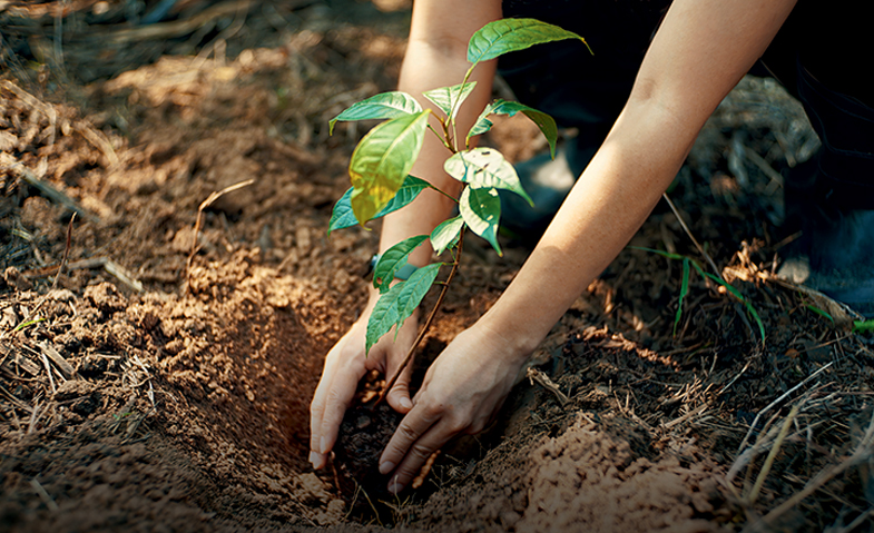 Eliminar o excesso de sebo do rosto: conselhos para purificar e ...